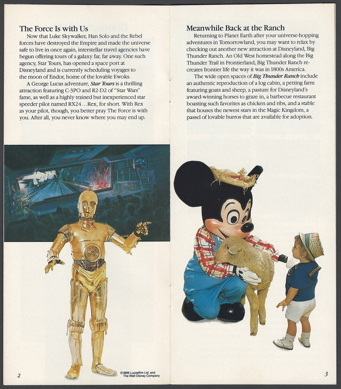 The Forgotten Adopt-a-Burro Program at Disneyland | Atomic Redhead